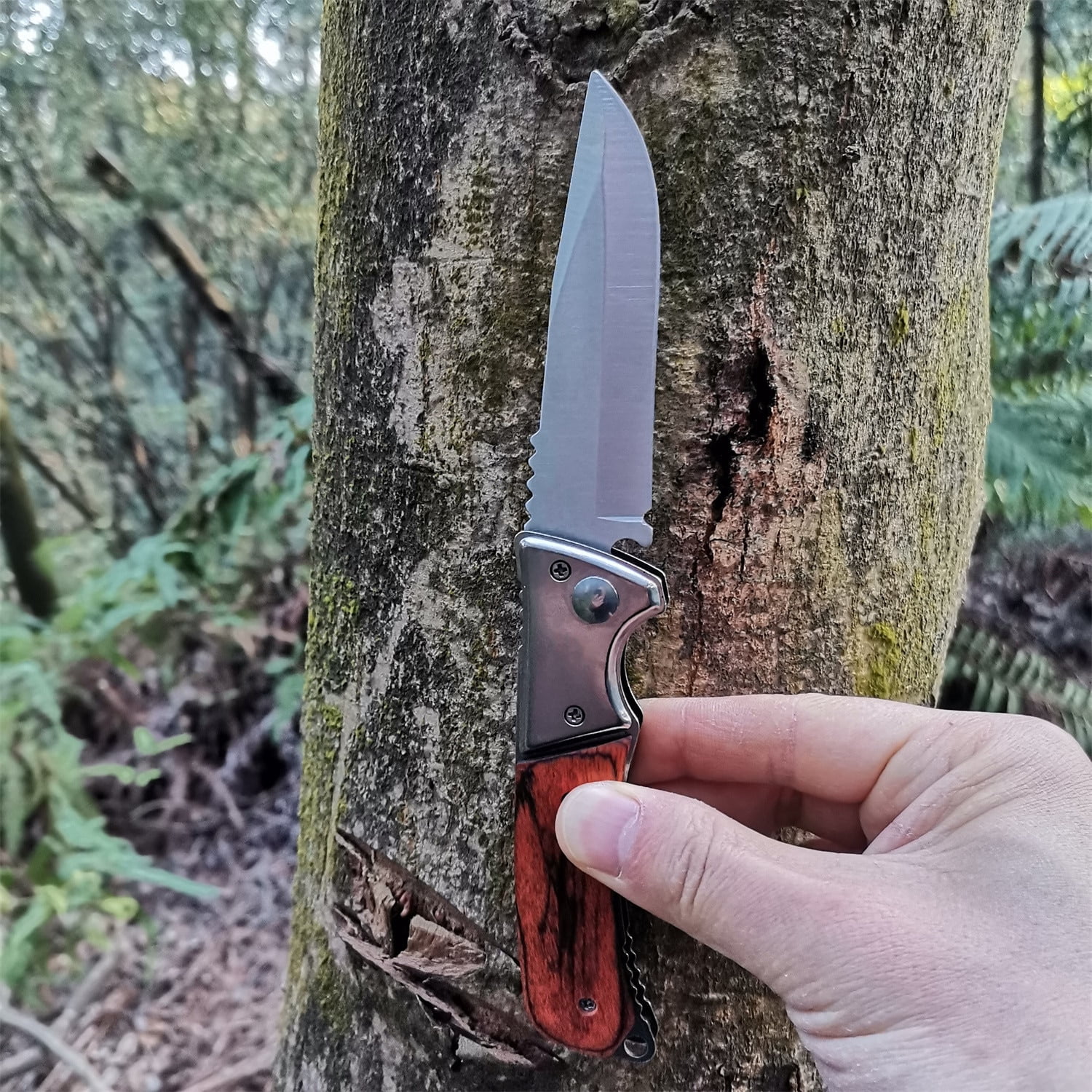 Pocket Folding Knife 5CR13 blade +handle (stainless steel and colored ...