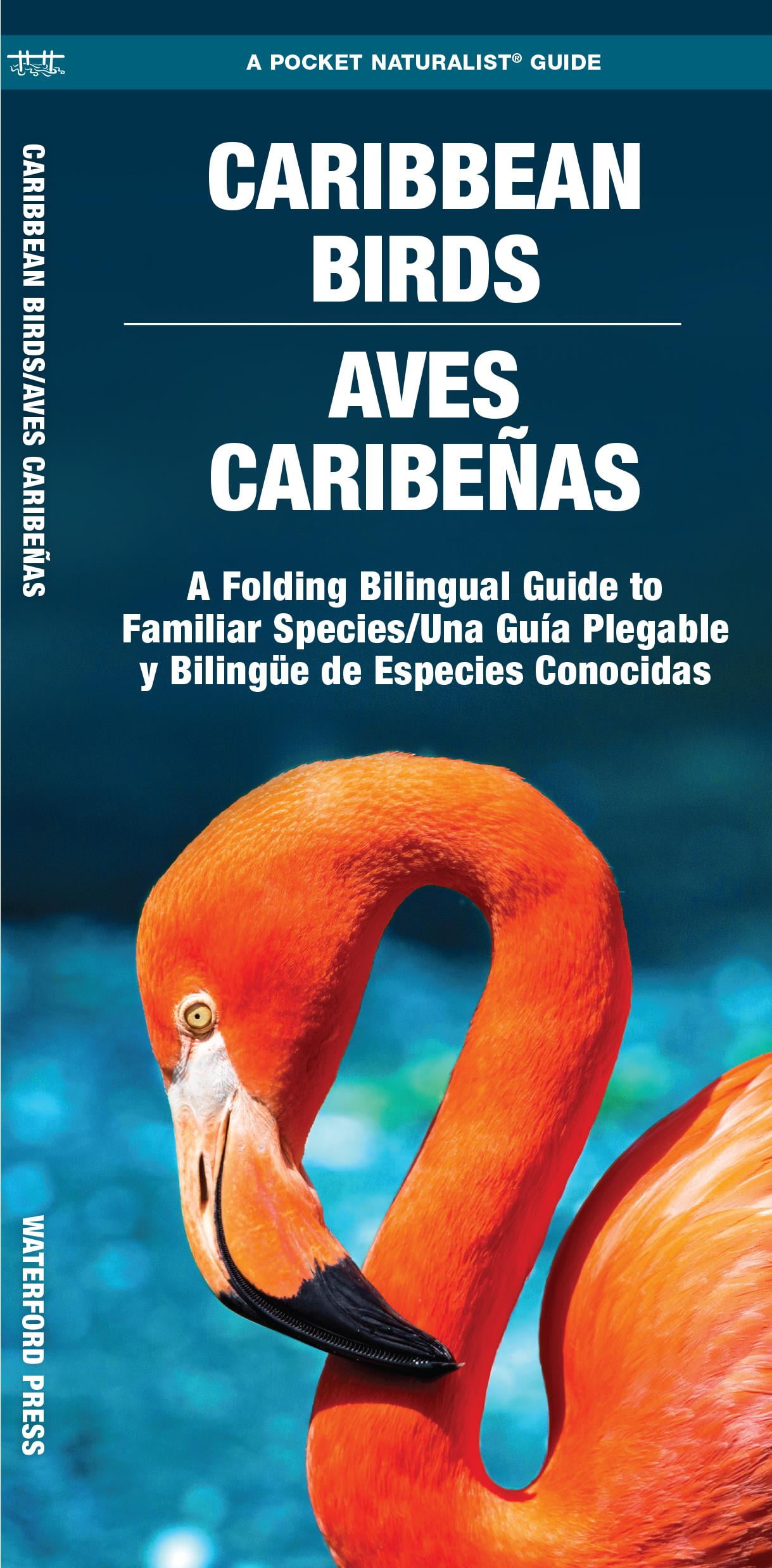 Pocket Naturalist Guide: Caribbean Birds/Aves Caribenas : A Folding ...
