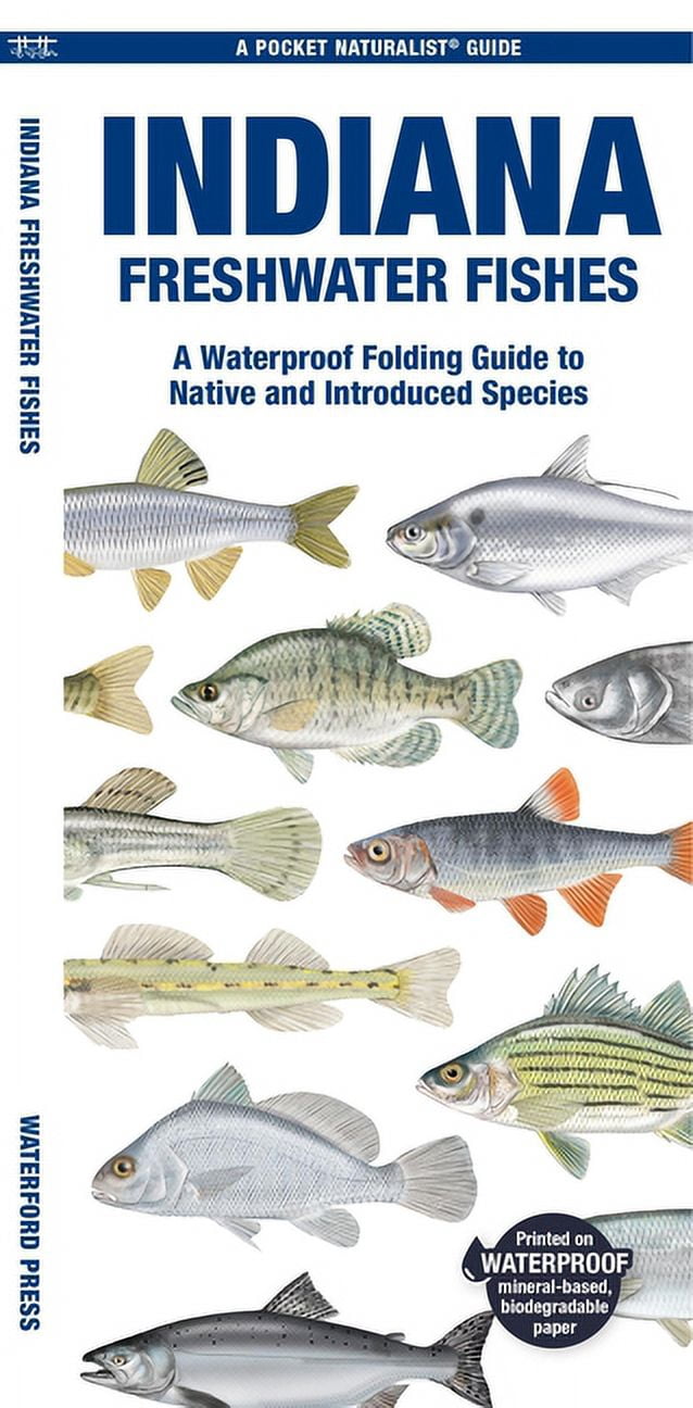 Pocket Naturalist Guide: Indiana Freshwater Fishes : A Waterproof Folding Guide to Native and ...