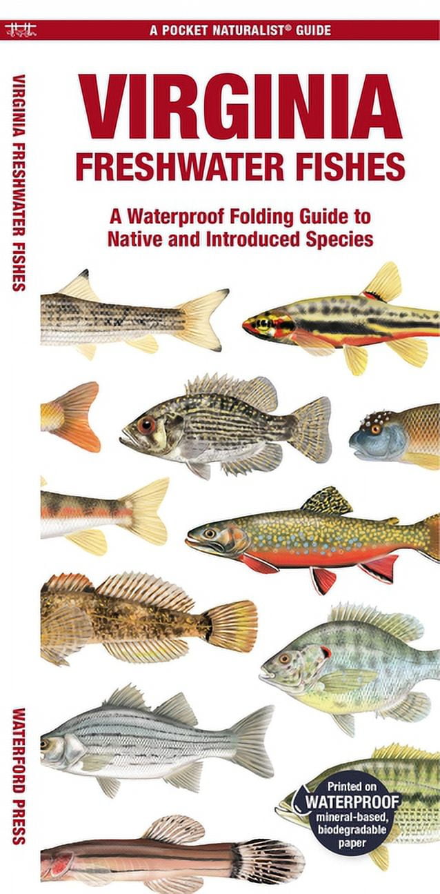 Pocket Naturalist Guide: Virginia Freshwater Fishes : A Waterproof ...