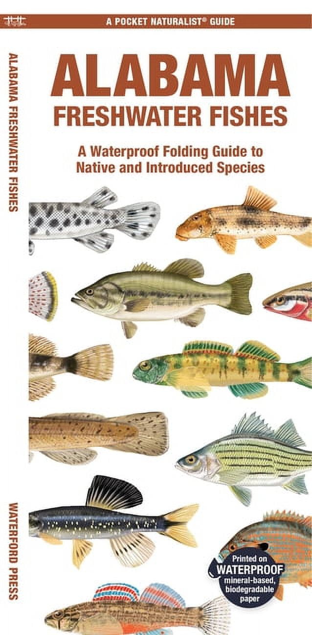 Pocket Naturalist Guides: Alabama Freshwater Fishes : A Waterproof ...