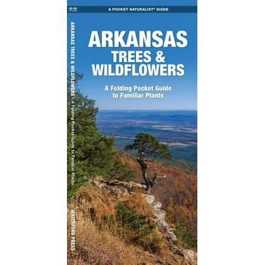 Phoenix Trees : A Folding Pocket Guide to Familiar Trees (Paperback ...