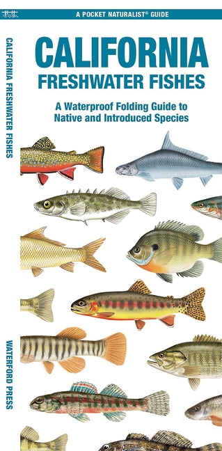 Nature Observation North America California Freshwater Fishes ...