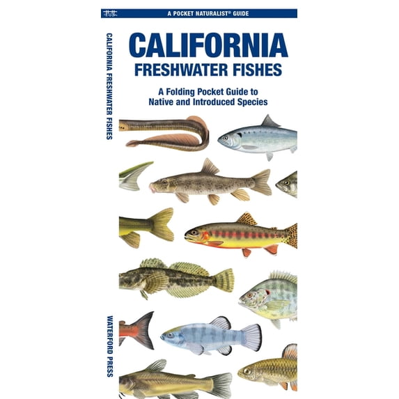 Nature Observation North America California Freshwater Fishes: A ...