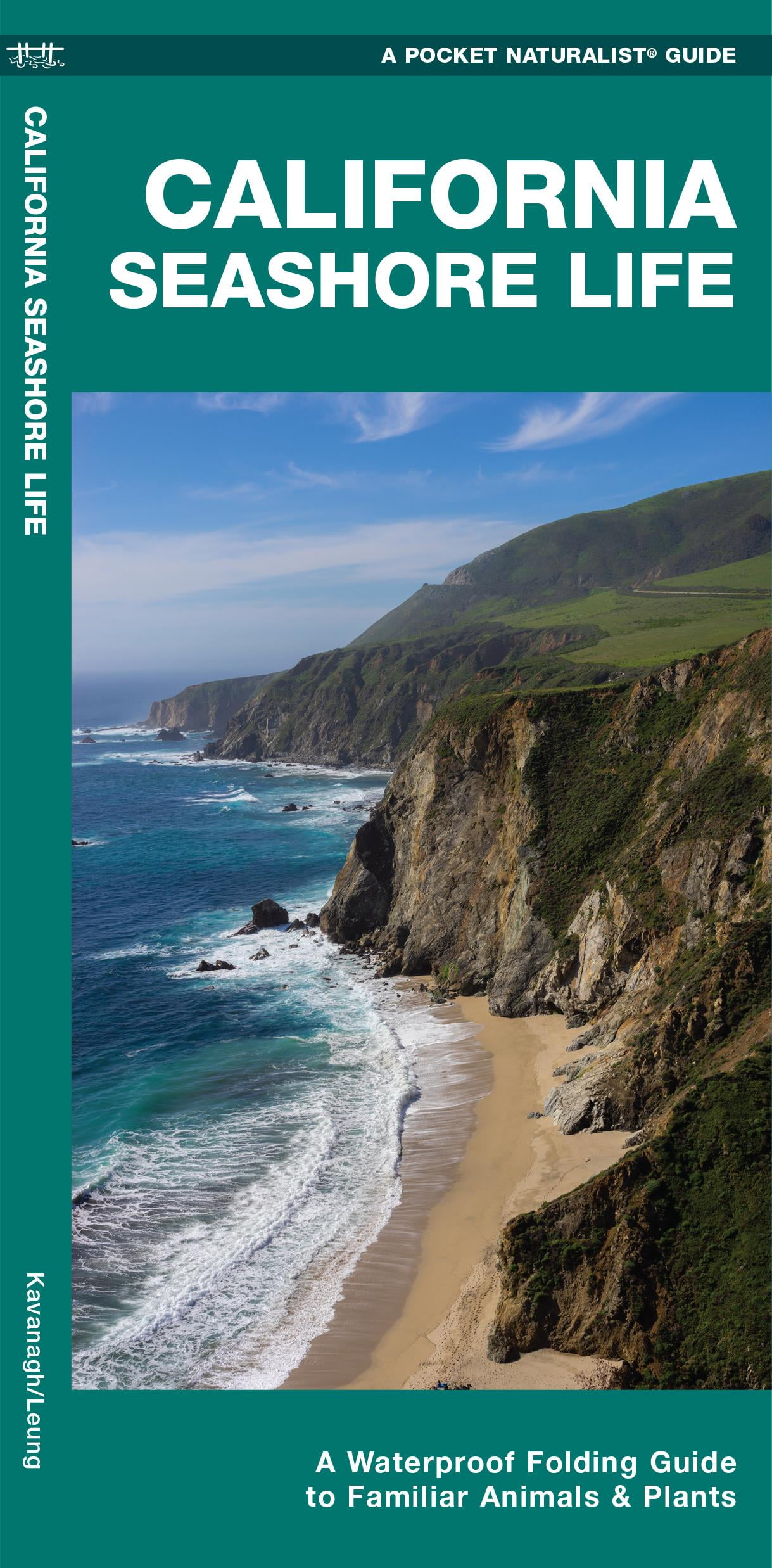 Pocket Naturalist Guides: California Seashore Life : A Waterproof ...