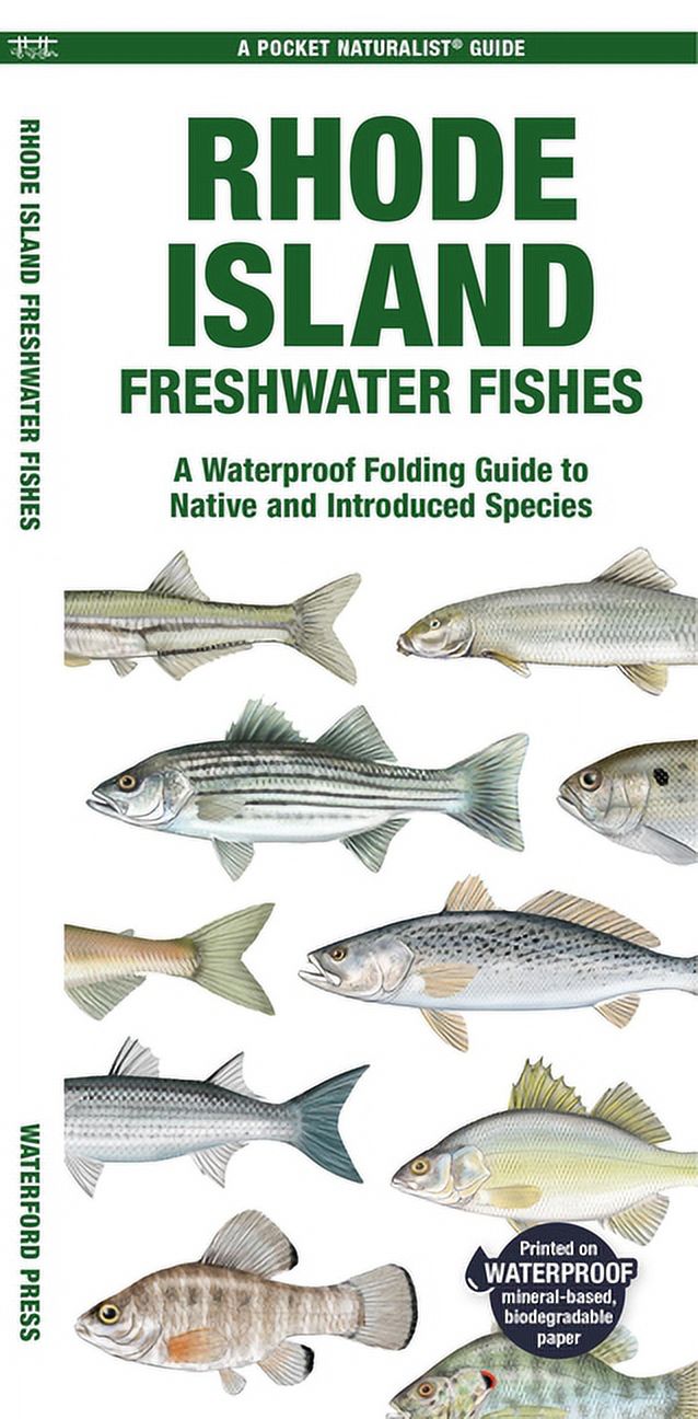 Pocket Naturalist Guides: Rhode Island Freshwater Fishes : A Waterproof ...