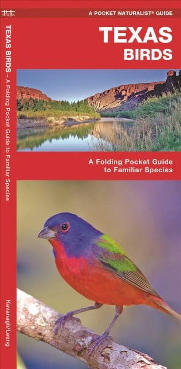 Pocket Naturalist Guides: Texas Birds: A Folding Pocket Guide to ...