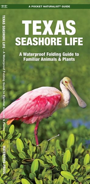 Pocket Naturalist Guides: Texas Seashore Life : A Waterproof Folding ...