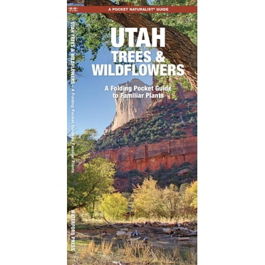 Pocket Naturalist Guides: Georgia Trees & Wildflowers: A Folding Pocket ...