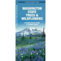 Drawing Trees : Trace Thirty Different Trees and Their Leaves, Branches ...