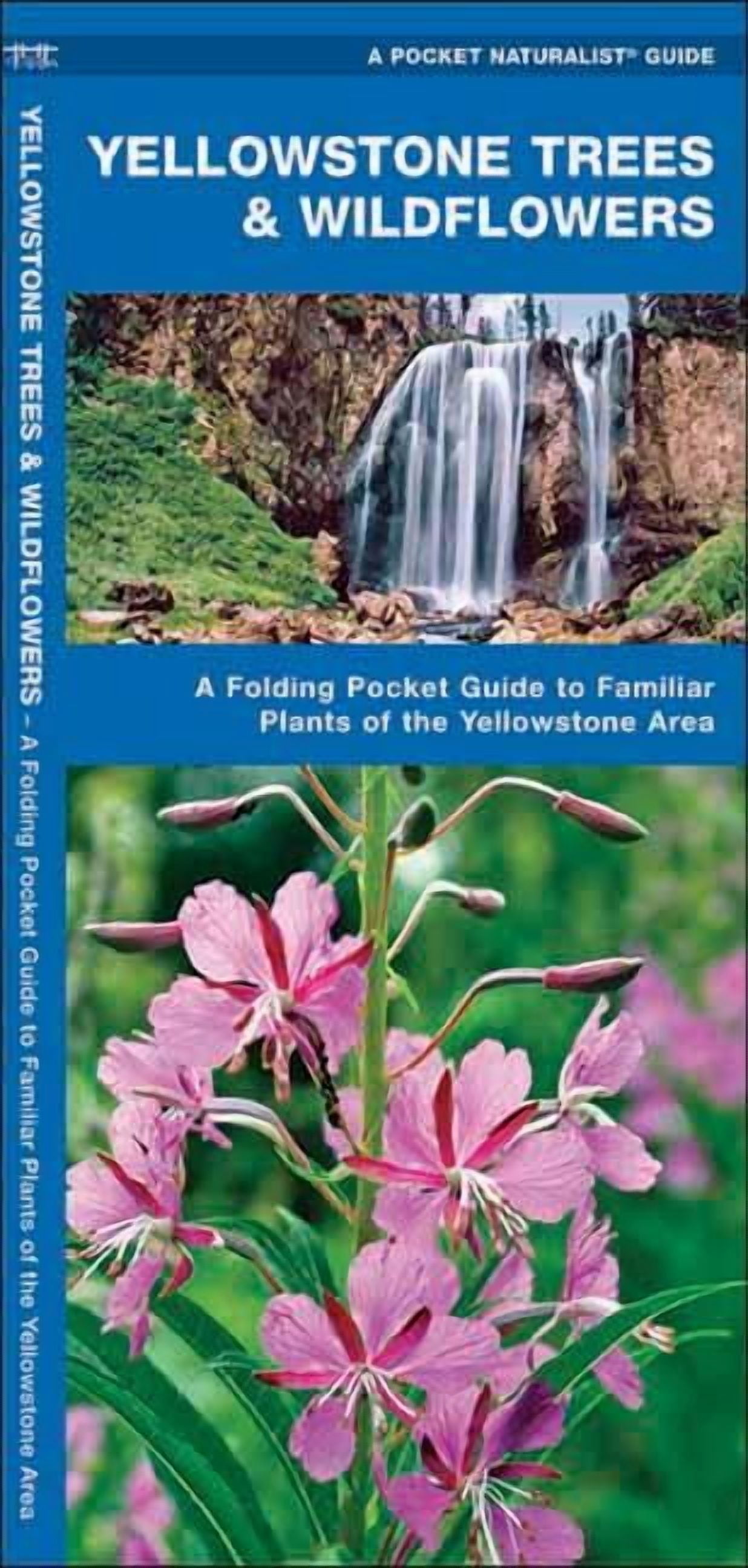 Pocket Naturalist Guides: Yellowstone Trees & Wildflowers: A Folding ...