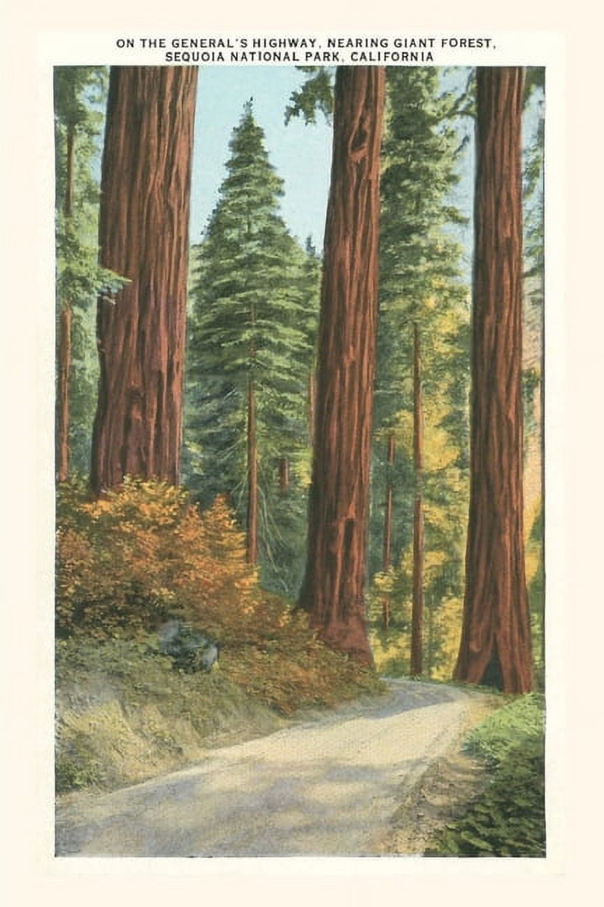 Pocket Sized - Found Image Press Journals: The Vintage Journal Sequoia ...