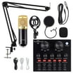 BM800 Condenser Studio Mic Kits: Starter Set, Professional Setup, Music Podcasting with Pop ...
