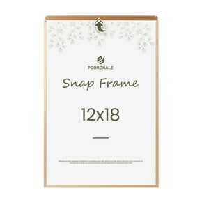 Poster Frames 12 X 18 Picture
