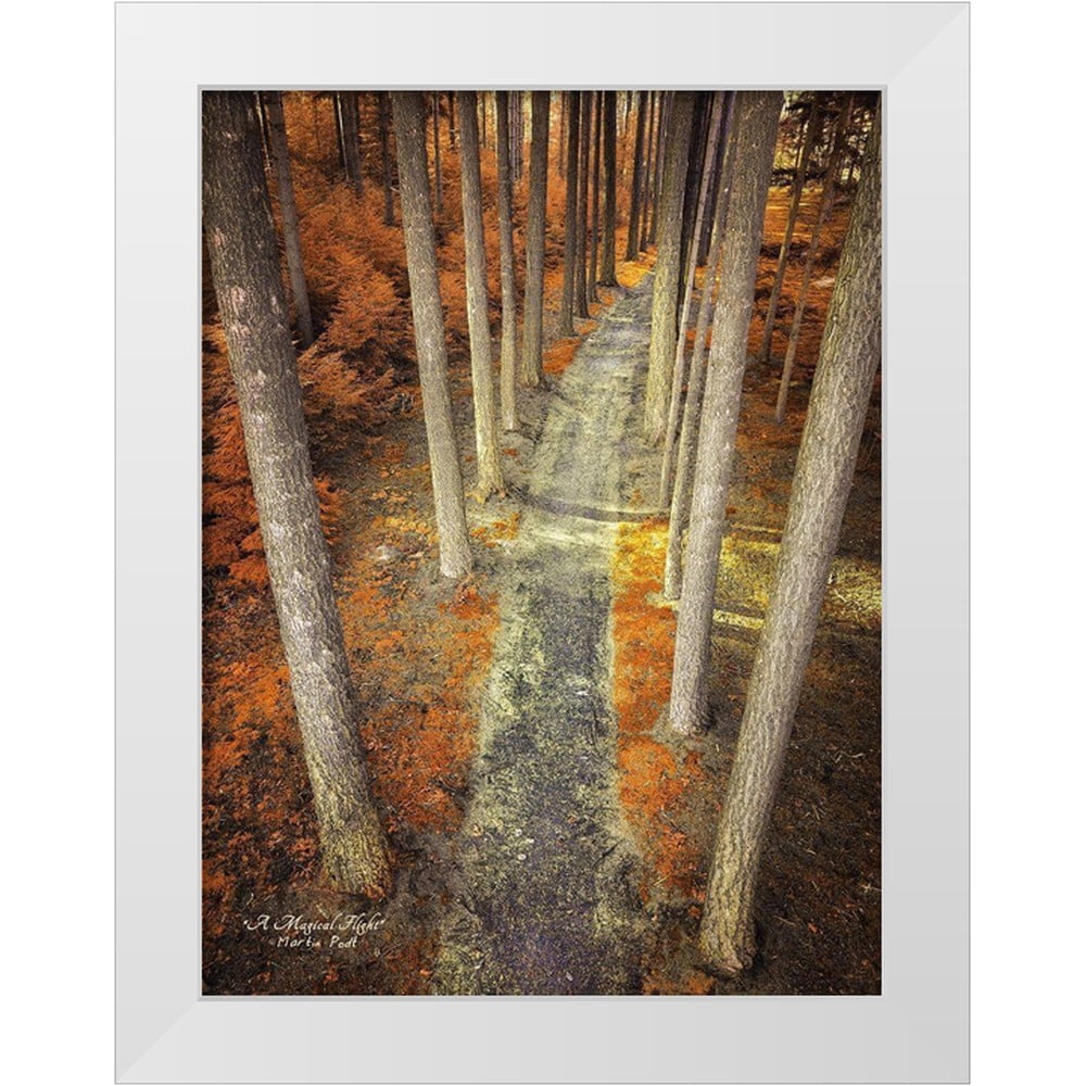 Podt, Martin 12x14 White Modern Wood Framed Museum Art Print Titled - A ...