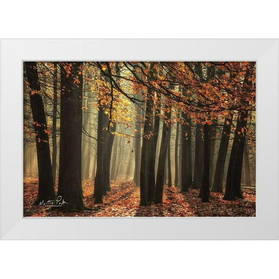 Podt, Martin 14x11 White Modern Wood Framed Museum Art Print Titled ...