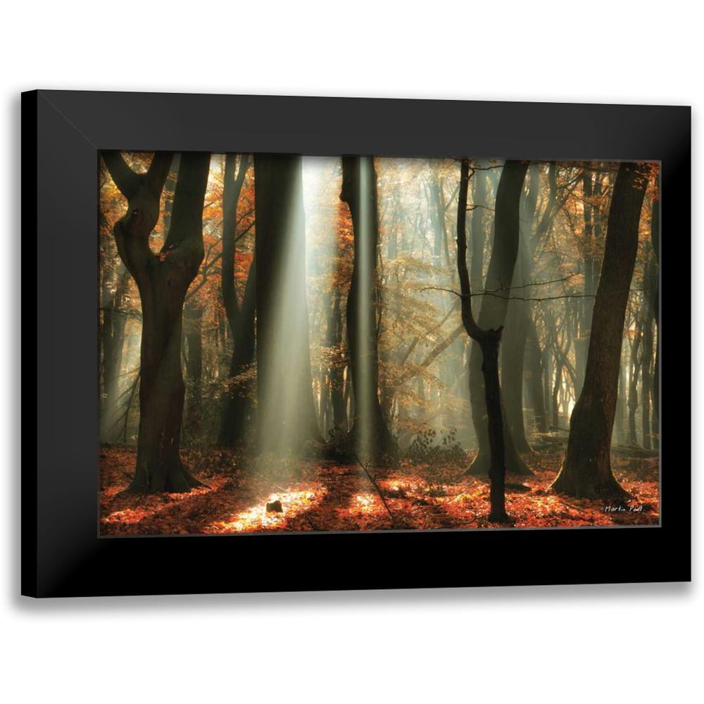 Podt, Martin 18x13 Black Modern Framed Museum Art Print Titled - Beam ...