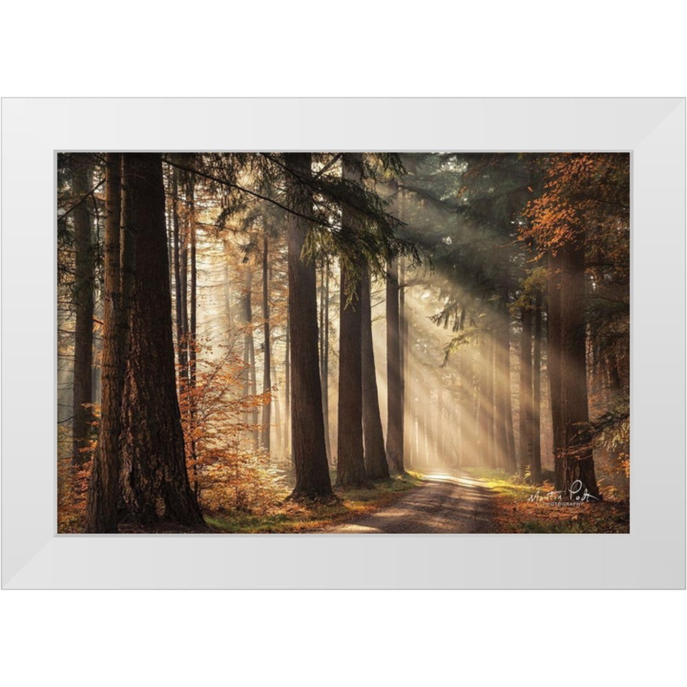 Podt, Martin 18x13 White Modern Wood Framed Museum Art Print Titled ...