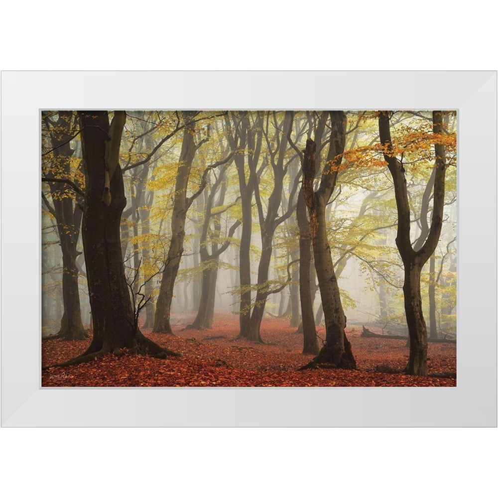 Podt, Martin 18x13 White Modern Wood Framed Museum Art Print Titled ...