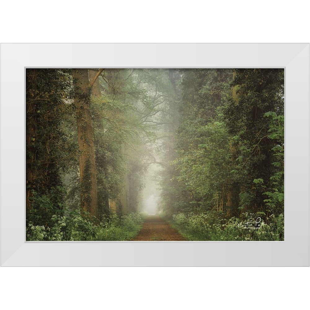 Podt, Martin 18x13 White Modern Wood Framed Museum Art Print Titled ...