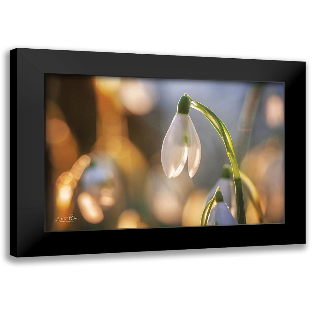 Podt, Martin 24x17 Black Modern Framed Museum Art Print Titled ...