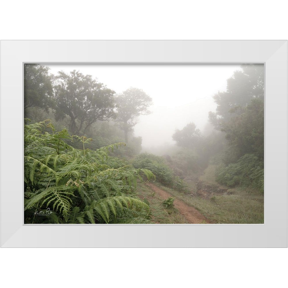 Podt, Martin 32x23 White Modern Wood Framed Museum Art Print Titled ...