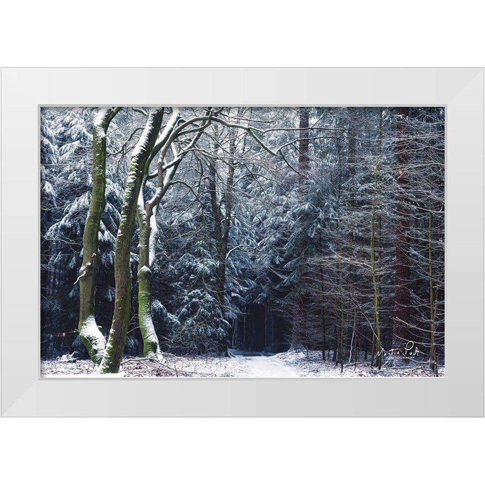 Podt, Martin 32x23 White Modern Wood Framed Museum Art Print Titled ...
