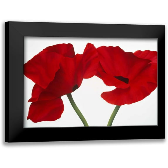 Poelstra-Holzhaus, Yvonne 14x11 Black Modern Framed Museum Art Print ...