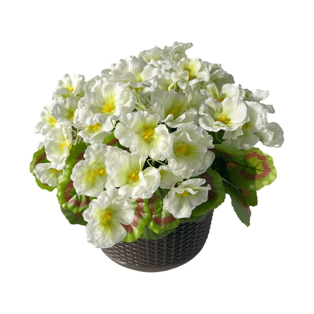 Poetree Wall-mounted Poppy Flower Pot Wooden Wall hanging Plant pot ...