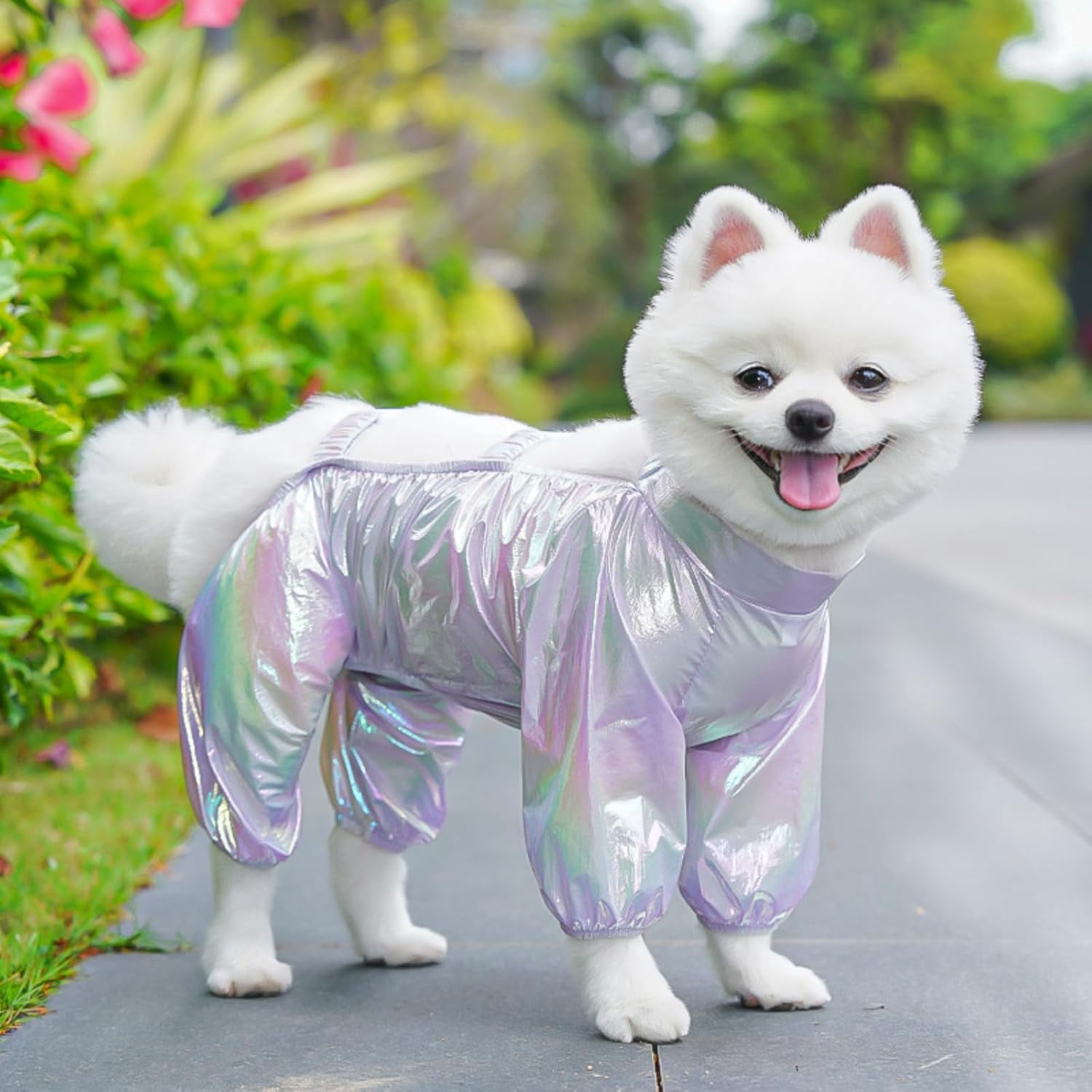 Poezone Cat Puppy Clothes Cute Fruit Dog Candy Color Gradient Full-Body ...
