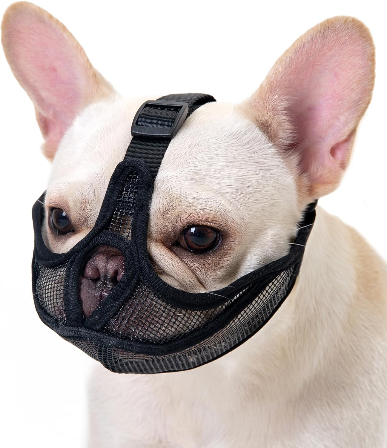 Poezone Short Snout Dog Muzzle with Soft Mesh, Breathable Won’t Cover ...