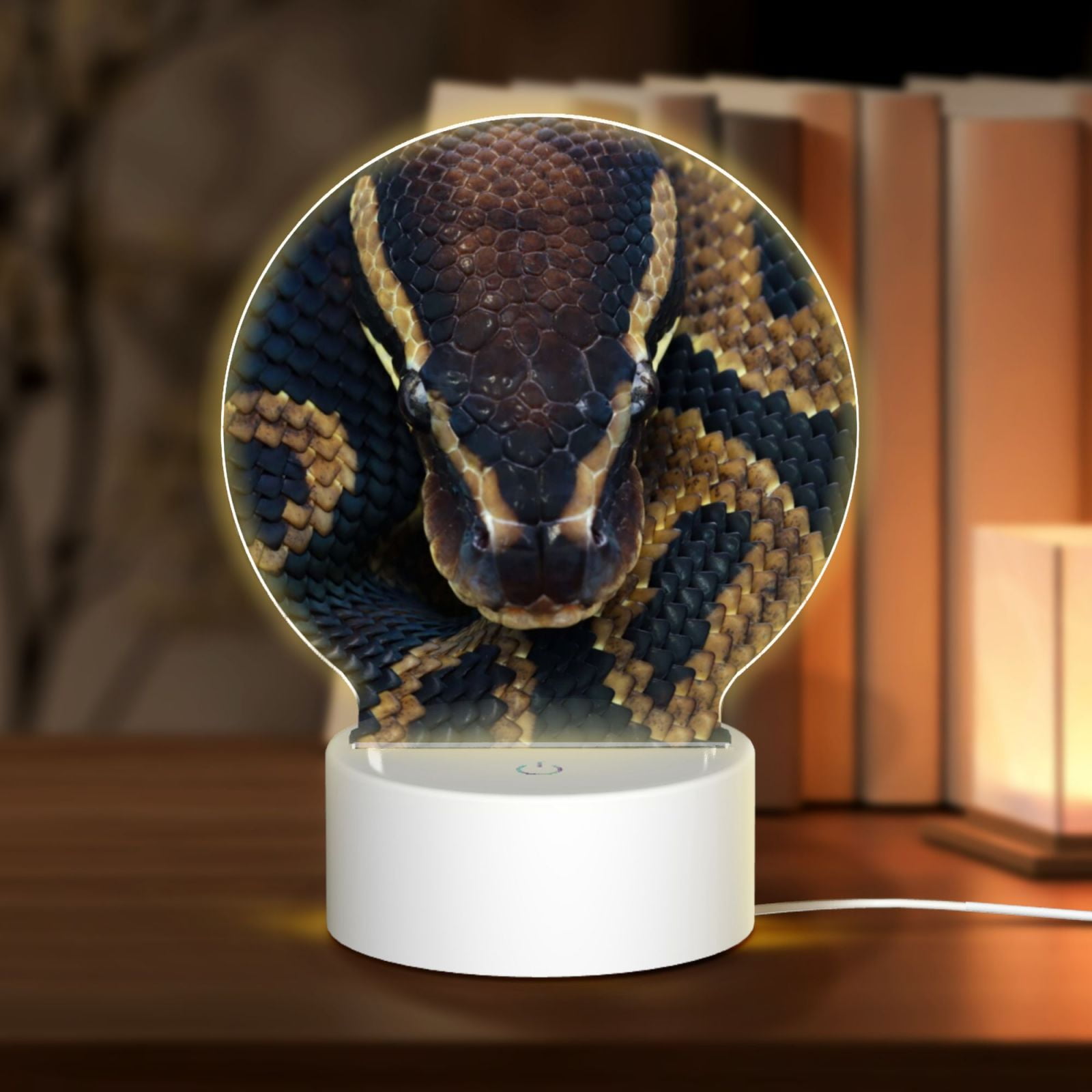 Pofeuu Ball Phyton Snake Print LED Christmas Night Light Lamp Base Gift ...