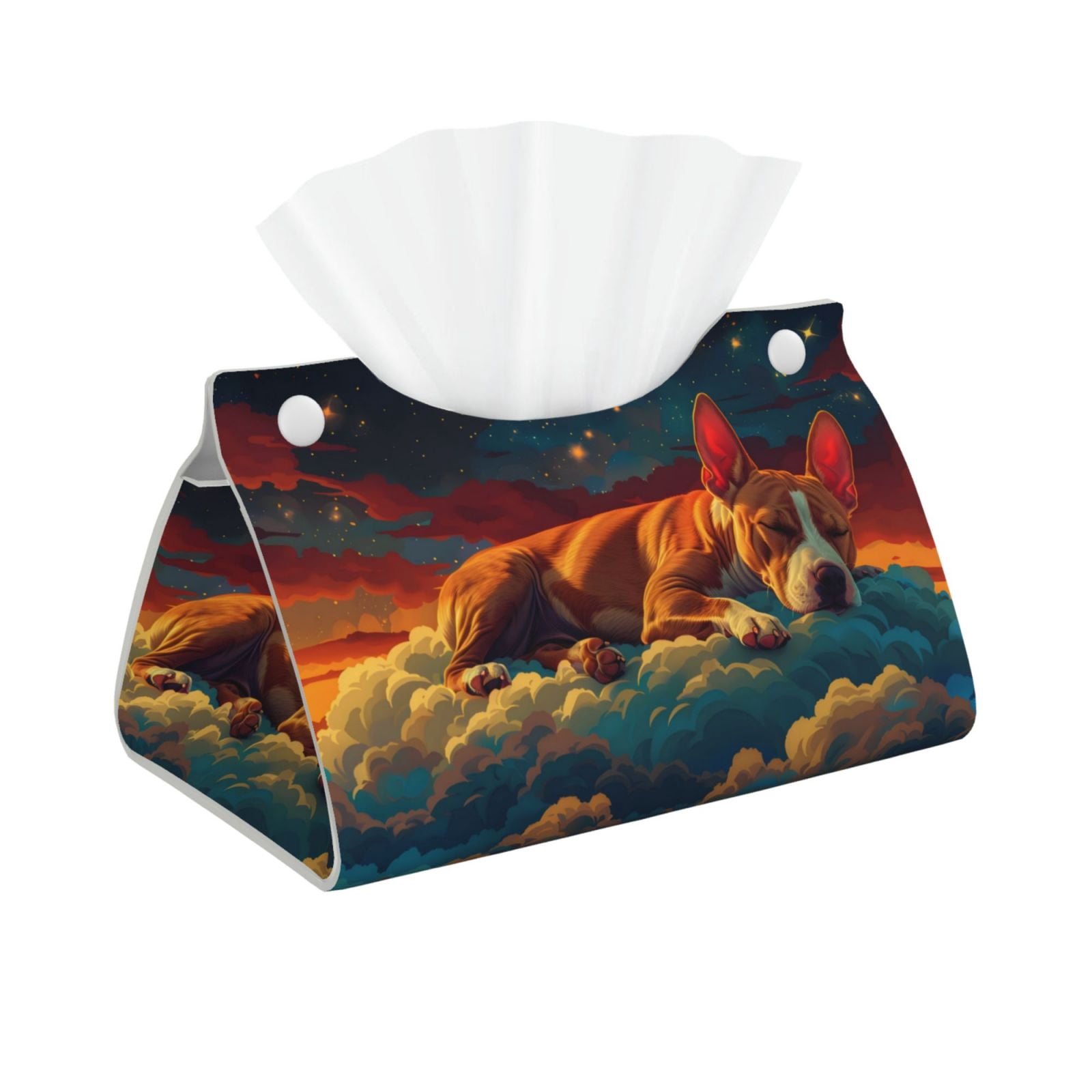Pofeuu Colorful Starry Sky Sleep Dog Print Tissue Box Cover, Modern ...
