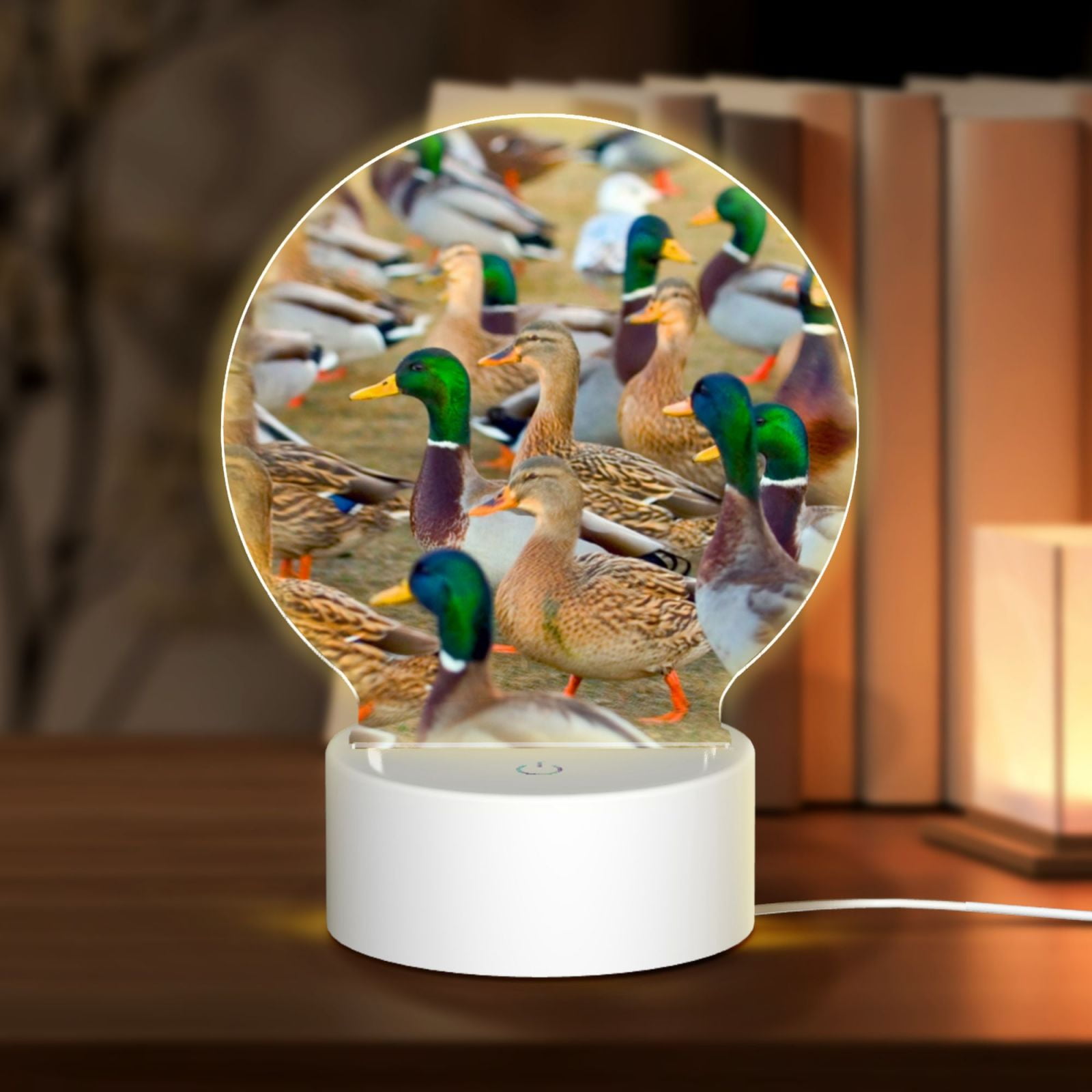 Pofeuu Mallard Ducks Print LED Christmas Night Light Lamp Base Gift DIY ...
