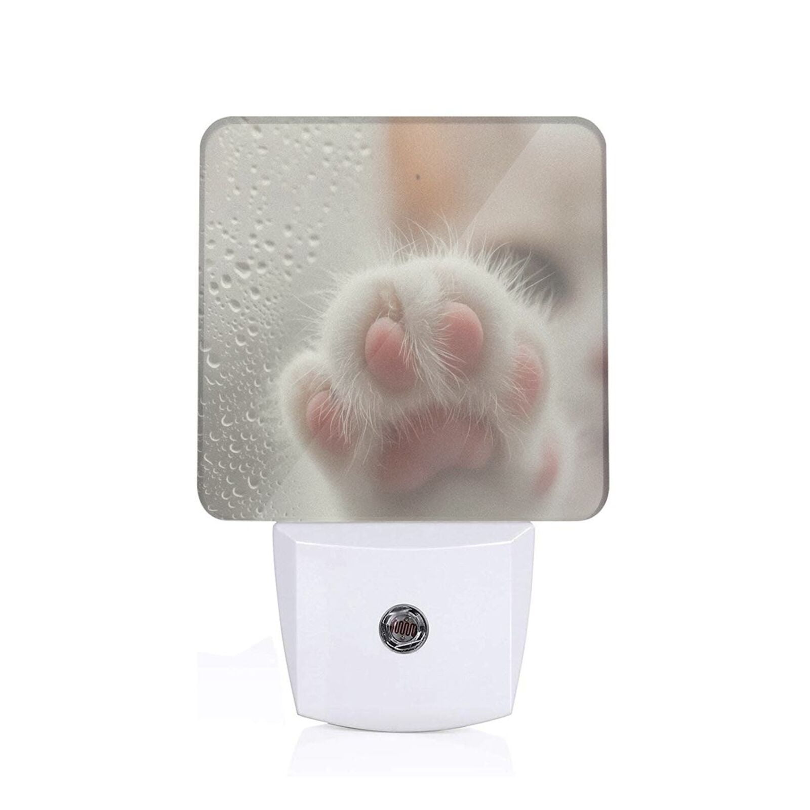 Pofeuu Raindrop Kitten Paw Print Night Lights Plug into Wall with Dusk ...
