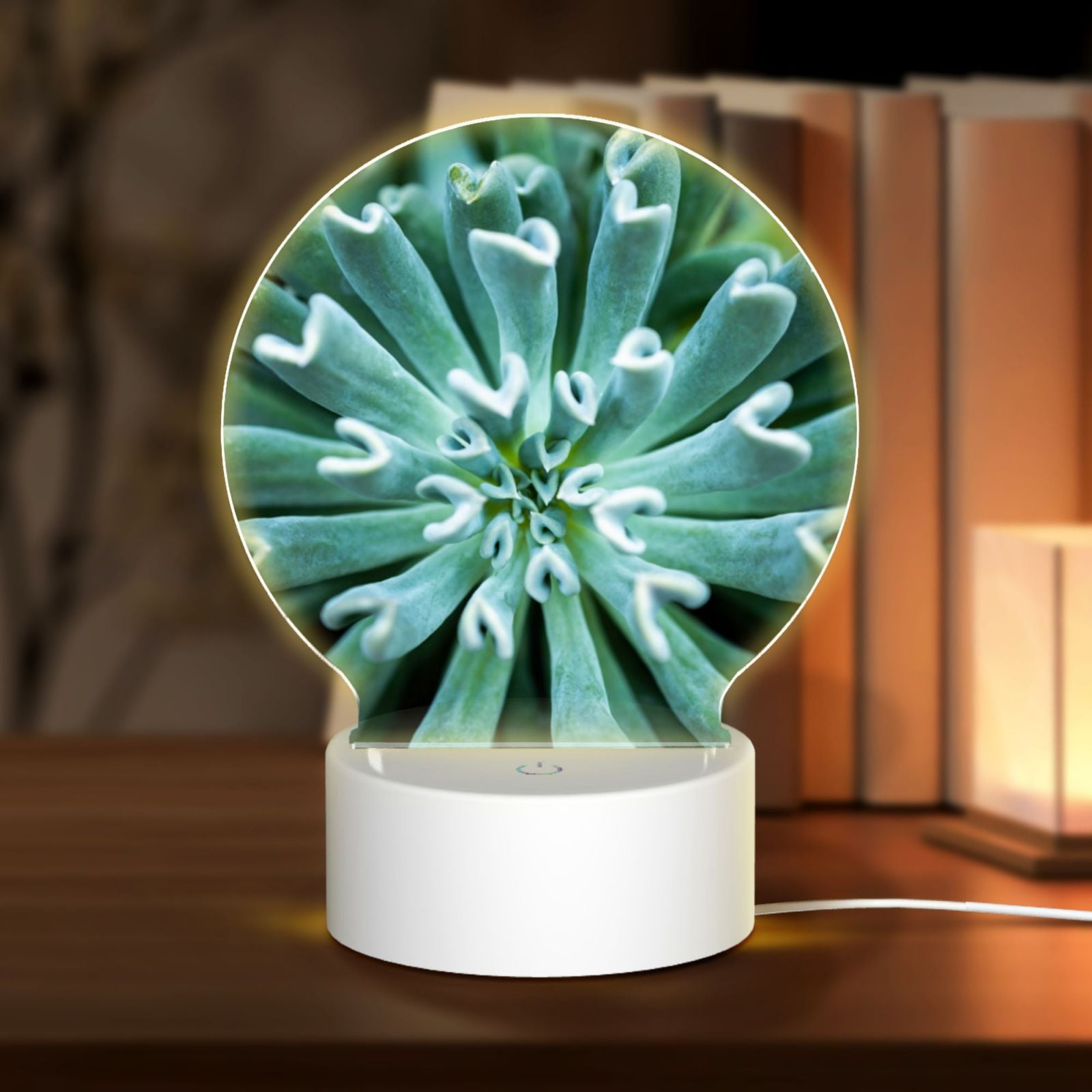 Pofeuu Teal Cactus Print LED Christmas Night Light Lamp Base Gift DIY 3D Clear Acrylic Blank ...