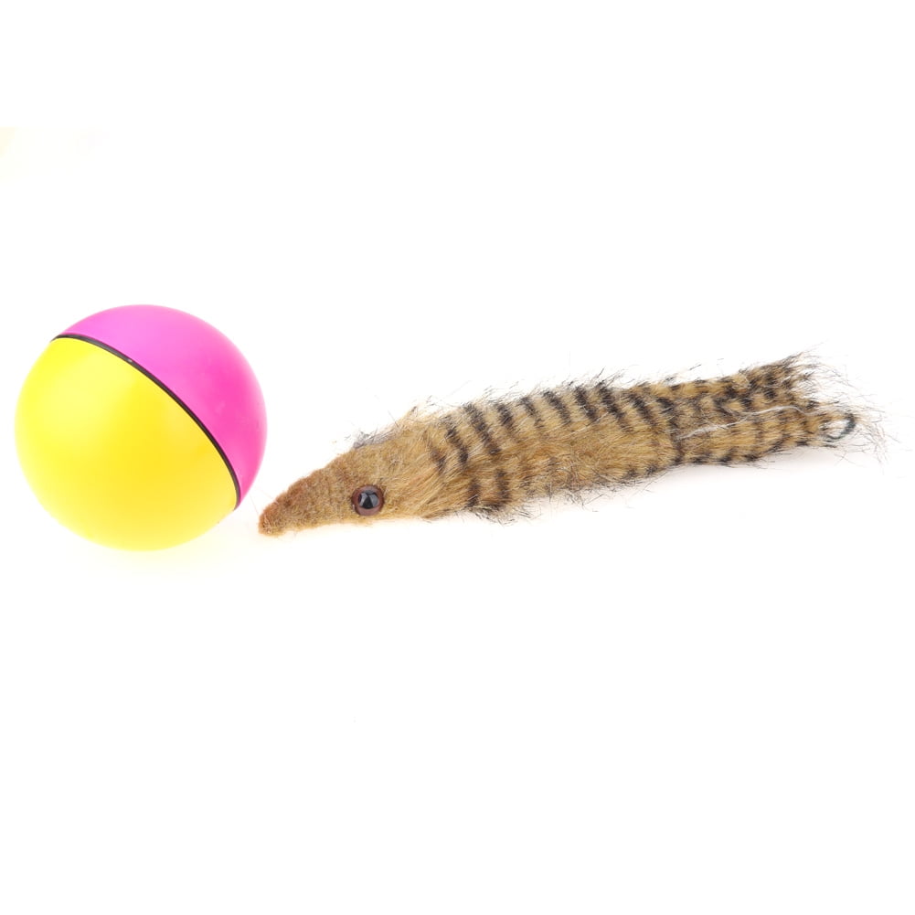 Pohot Dog Cat Beaver Weasel Puppy Rolling Play Random Alive New Pet Toy ...