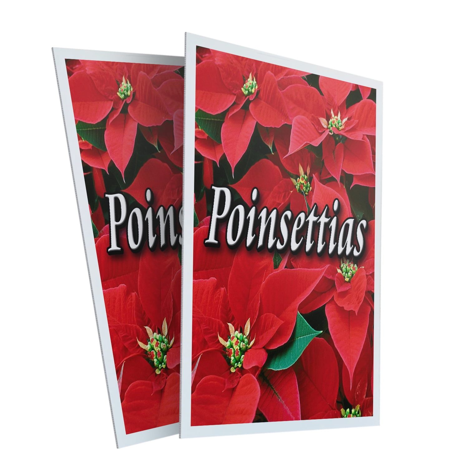 Poinsettias (2-PACK) 24" x 36" Plastic Signs | Sign Insert 4mm ...