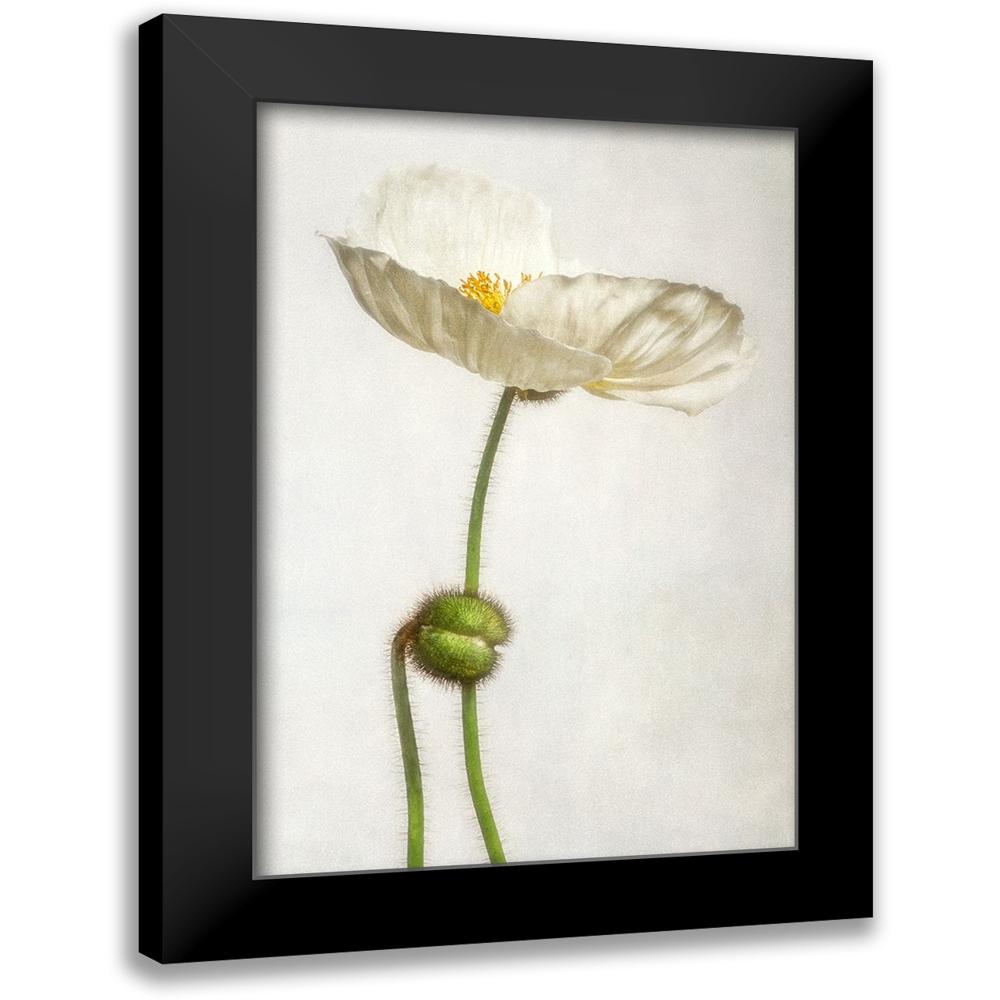 Poinski, Dianne 11x14 Black Modern Framed Museum Art Print Titled ...