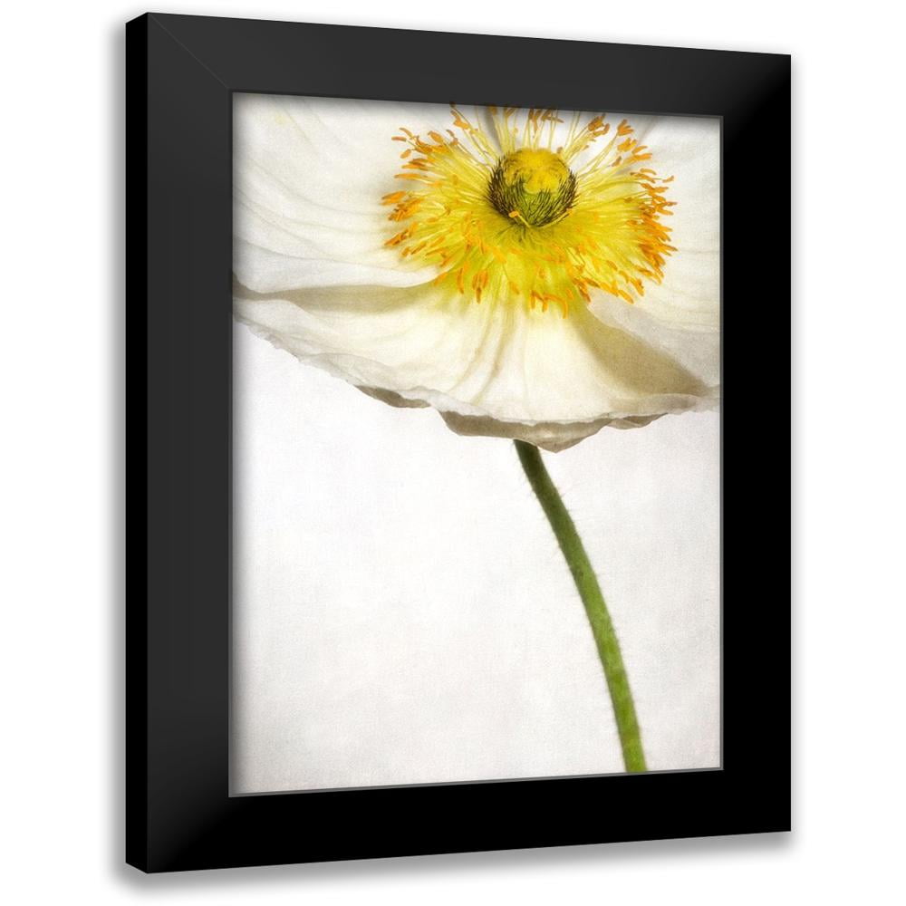 Poinski, Dianne 11x14 Black Modern Framed Museum Art Print Titled ...