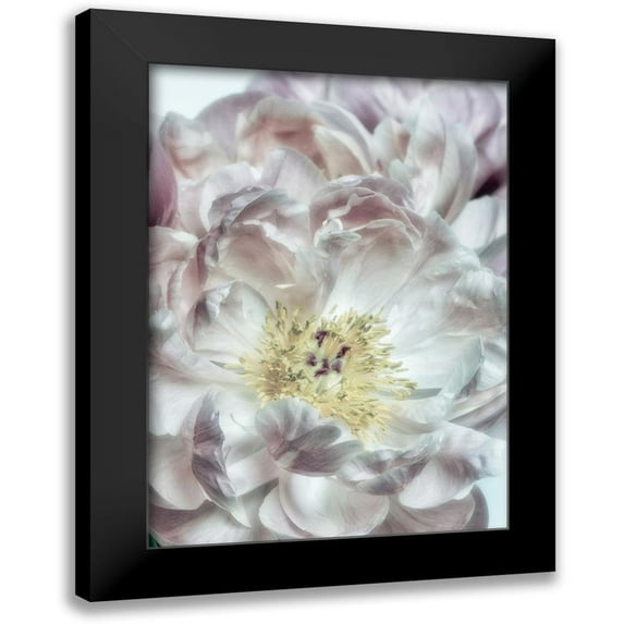 Poinski, Dianne 11x14 Black Modern Framed Museum Art Print Titled ...