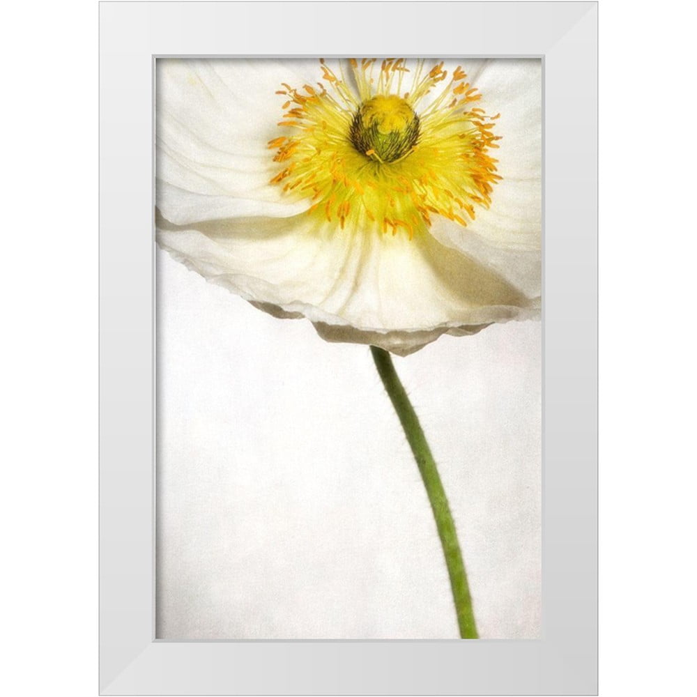 Poinski, Dianne 11x14 White Modern Wood Framed Museum Art Print Titled ...