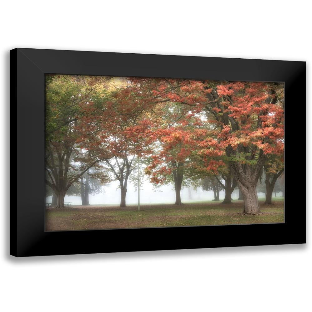 Poinski, Dianne 14x11 Black Modern Framed Museum Art Print Titled - The Meadow 4 - Walmart.com
