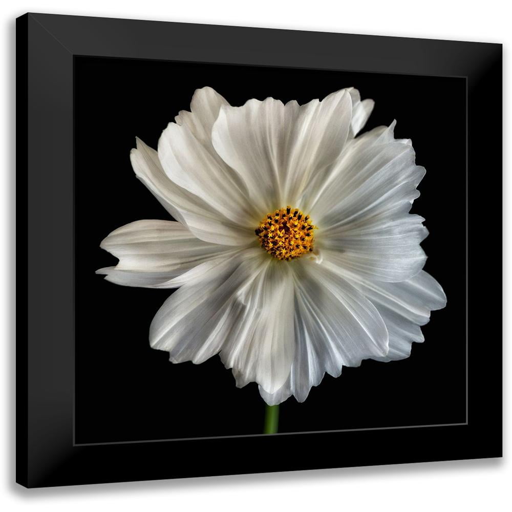 Poinski, Dianne 15x15 Black Modern Framed Museum Art Print Titled ...