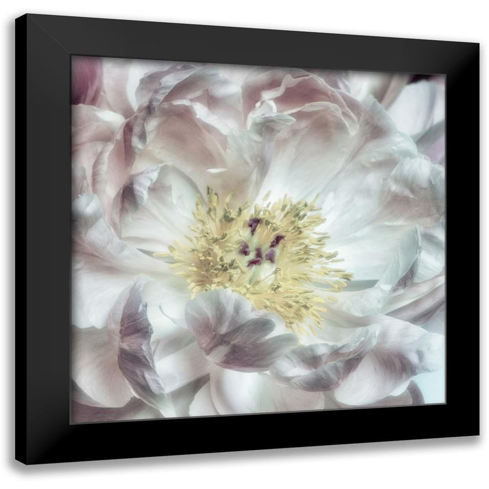 Poinski, Dianne 15x15 Black Modern Framed Museum Art Print Titled ...