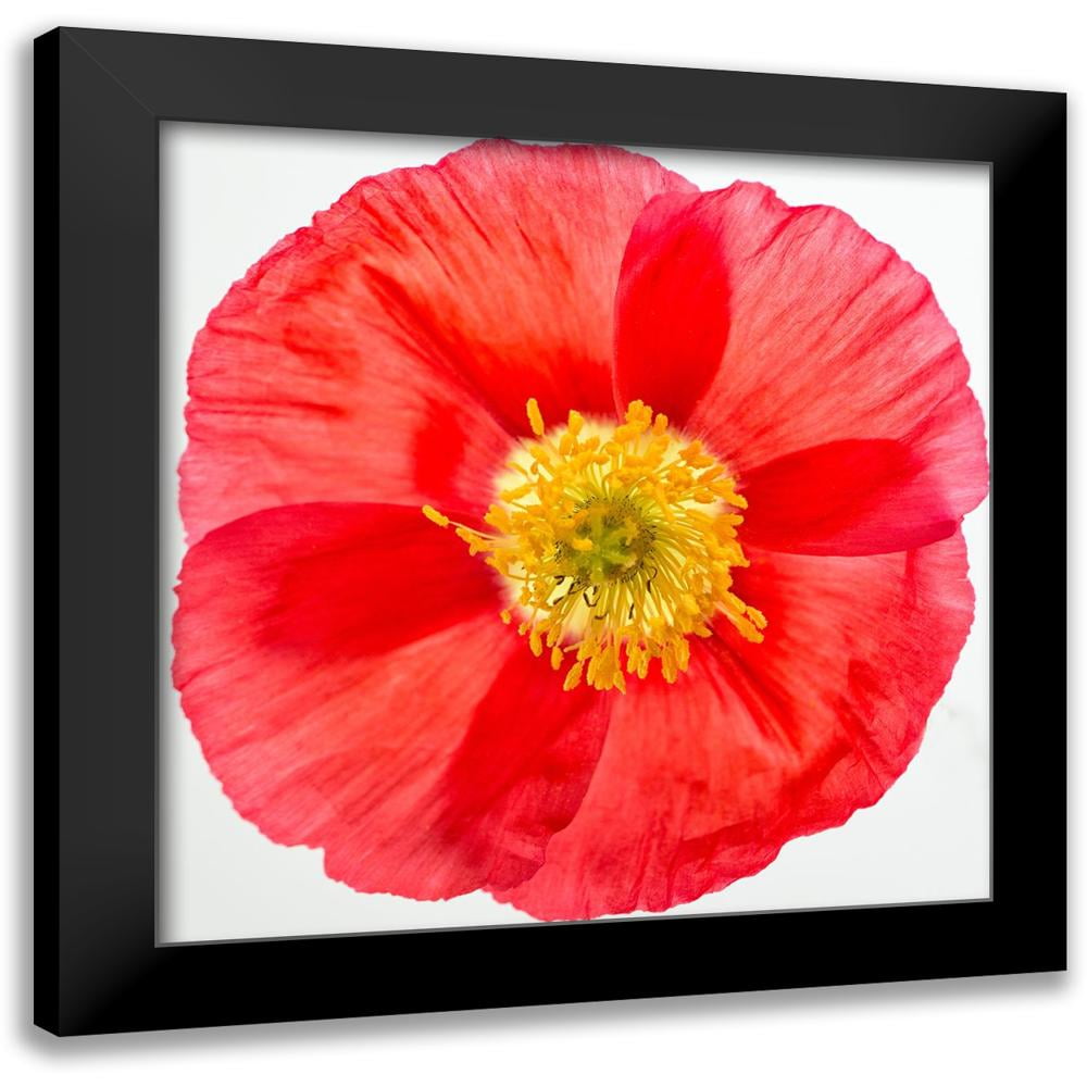Poinski, Dianne 15x15 Black Modern Framed Museum Art Print Titled ...