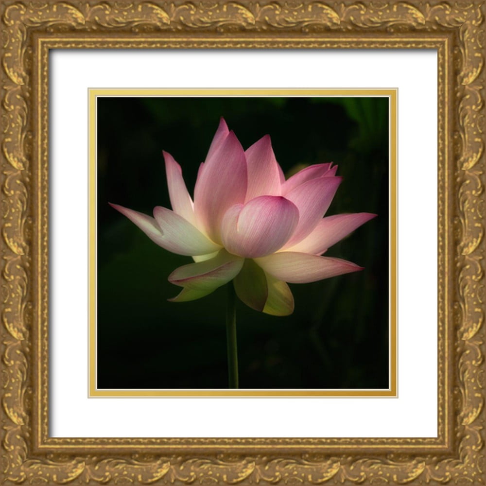 Poinski, Dianne 15x15 Gold Ornate Wood Framed with Double Matting ...