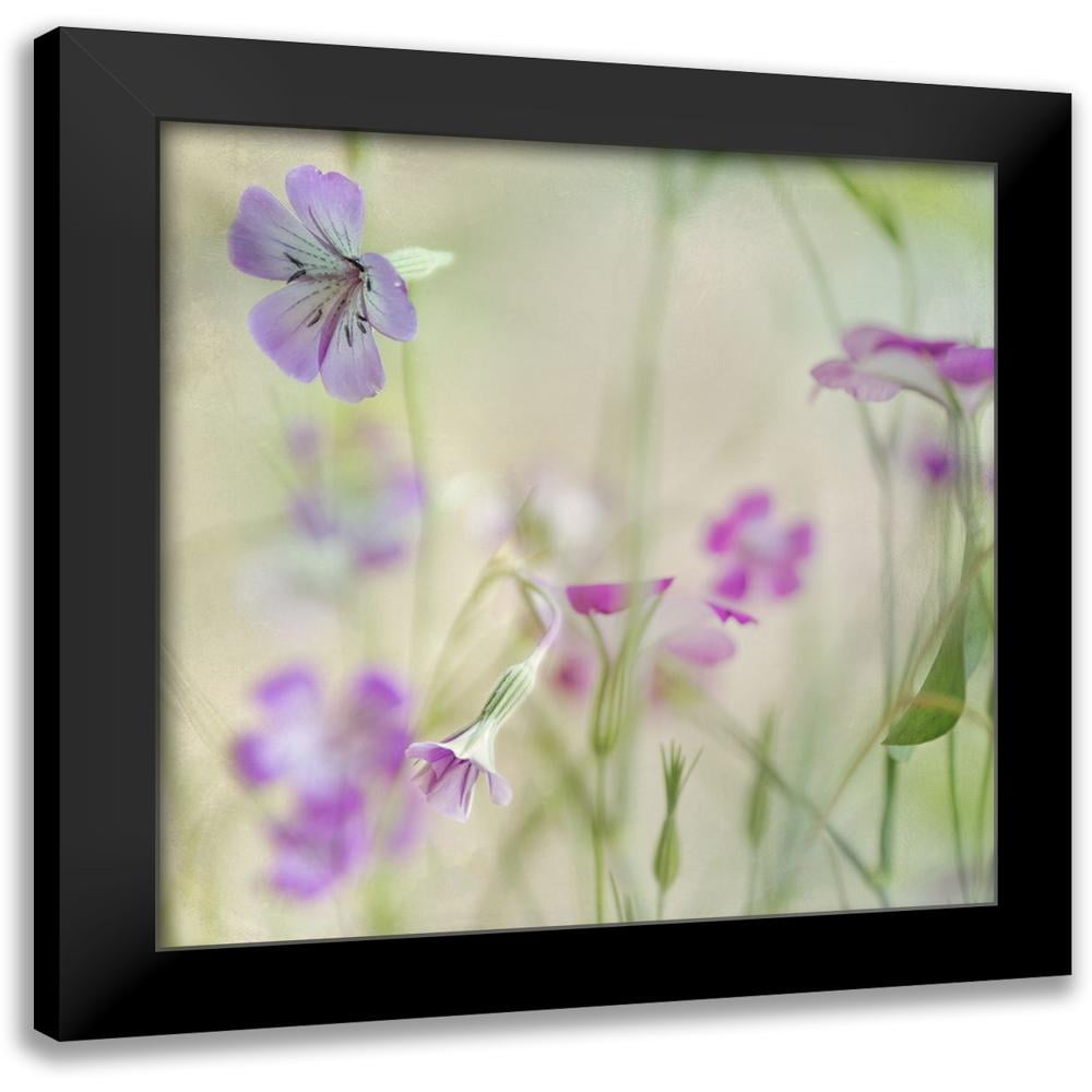 Poinski, Dianne 20x20 Black Modern Framed Museum Art Print Titled ...