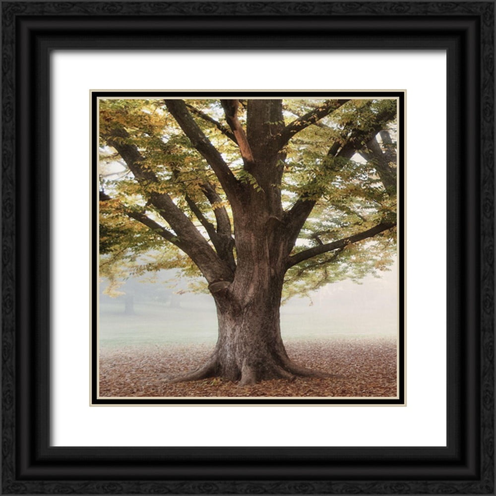 Poinski, Dianne 20x20 Black Ornate Wood Framed with Double Matting ...