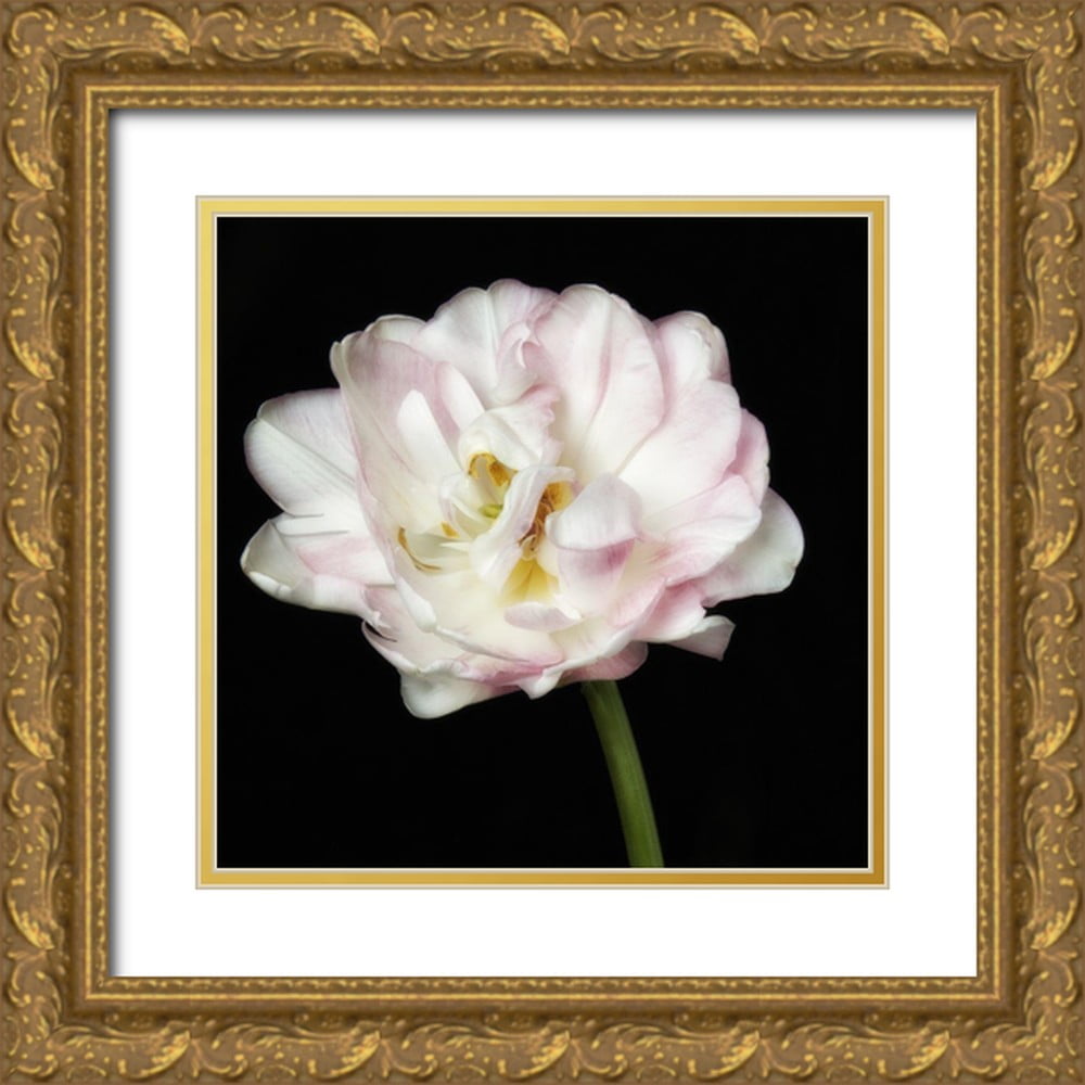 Poinski, Dianne 20x20 Gold Ornate Wood Framed with Double Matting ...